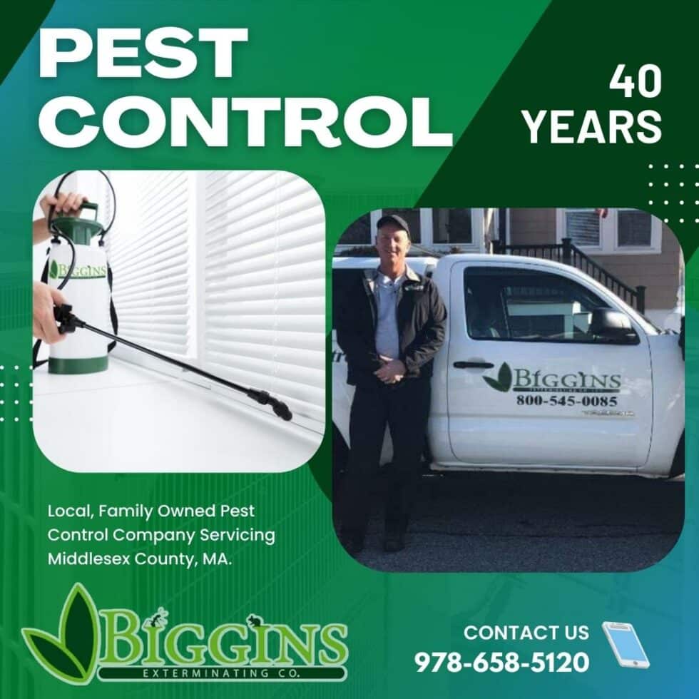 #1 Best Pest Control Company Wilmington MA - Biggins Exterminating