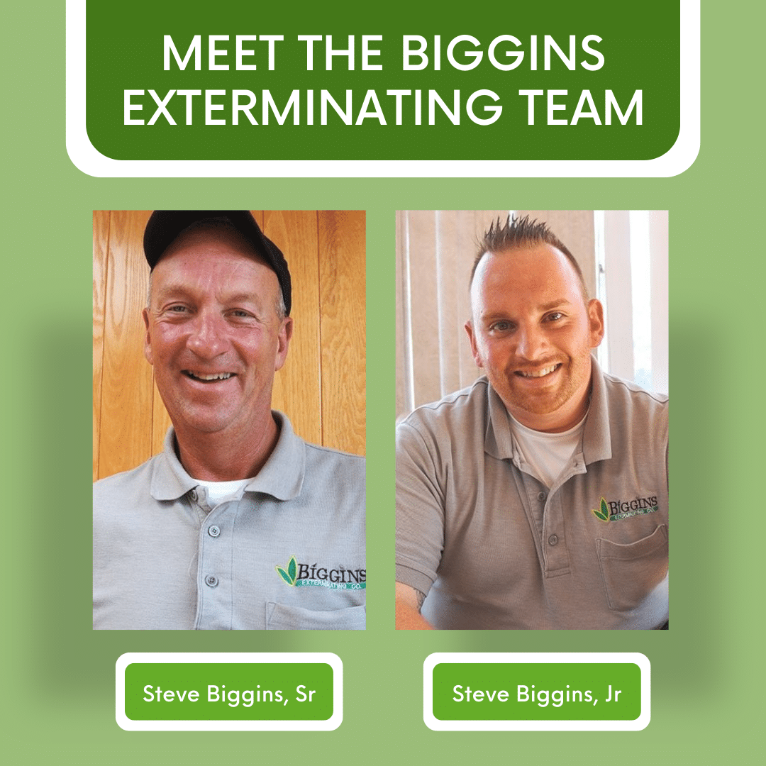 Contact Us Biggins Exterminating | #1 Expert Pest Control
